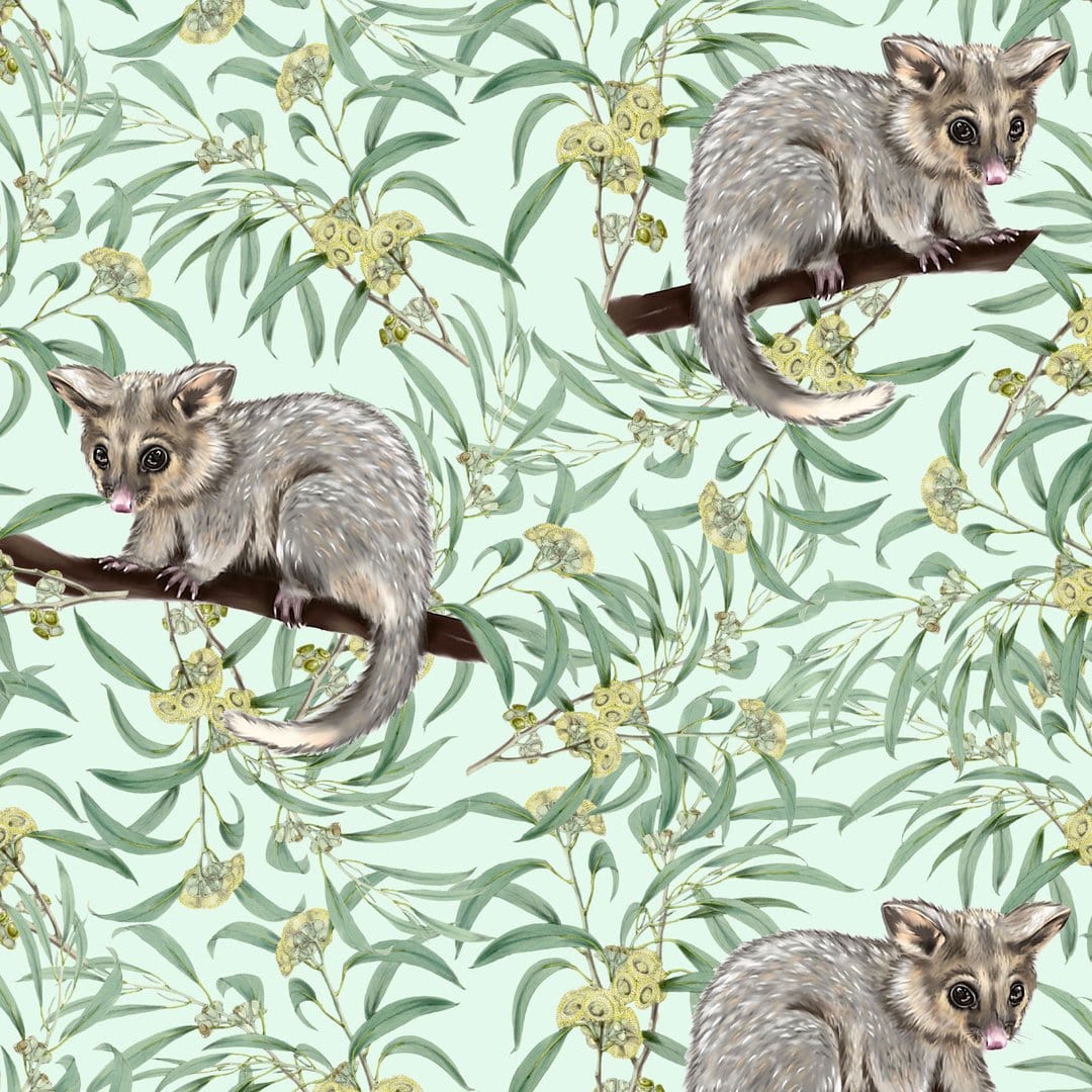 Sweet Ring Tail Possum – Australiana Fabrics